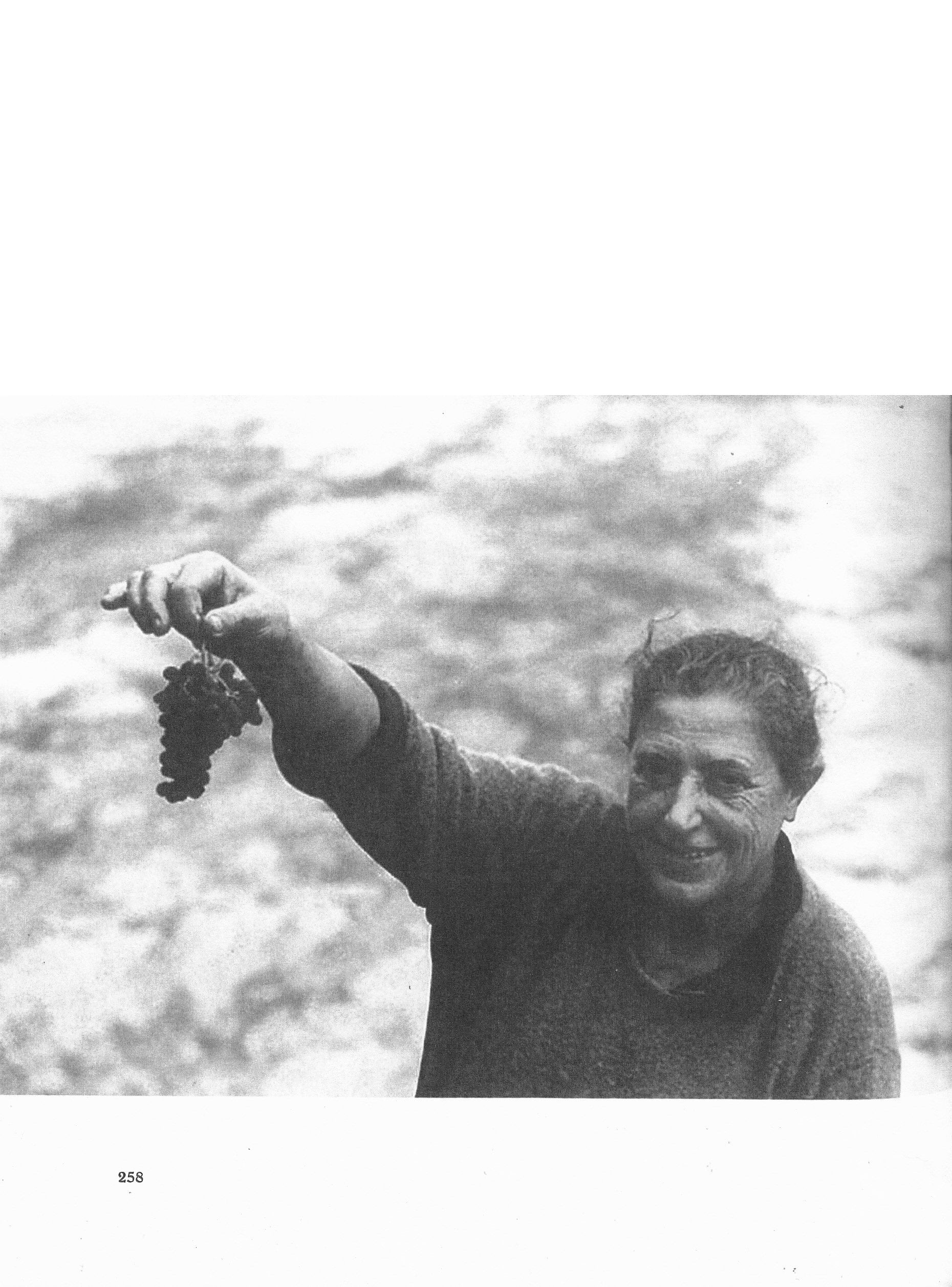 Le Terroir & le Vigneron - Jacky Rigaux - Terre en vues - Montenidoli